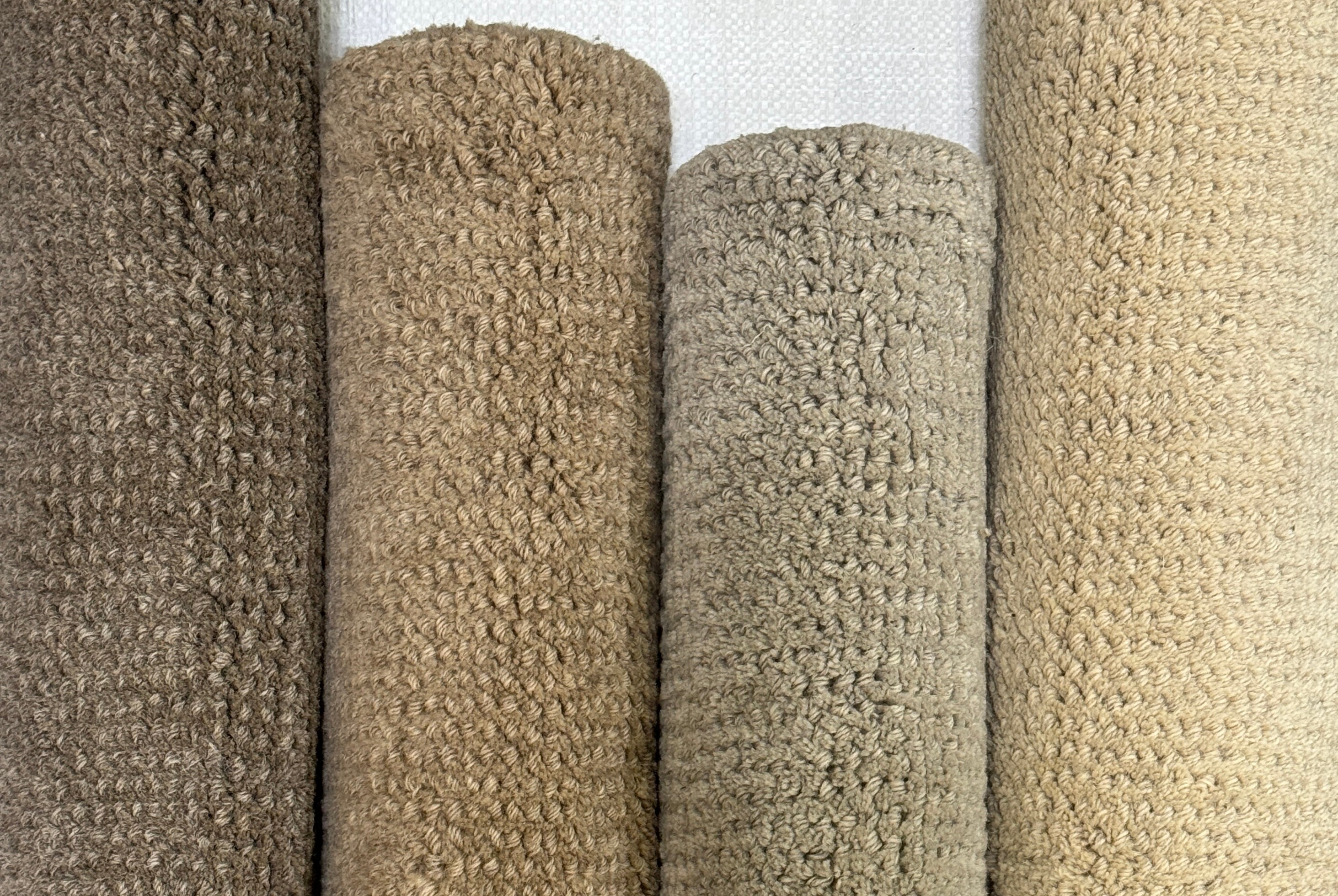 QuickShip Jasi Master – J. Leigh Carpets