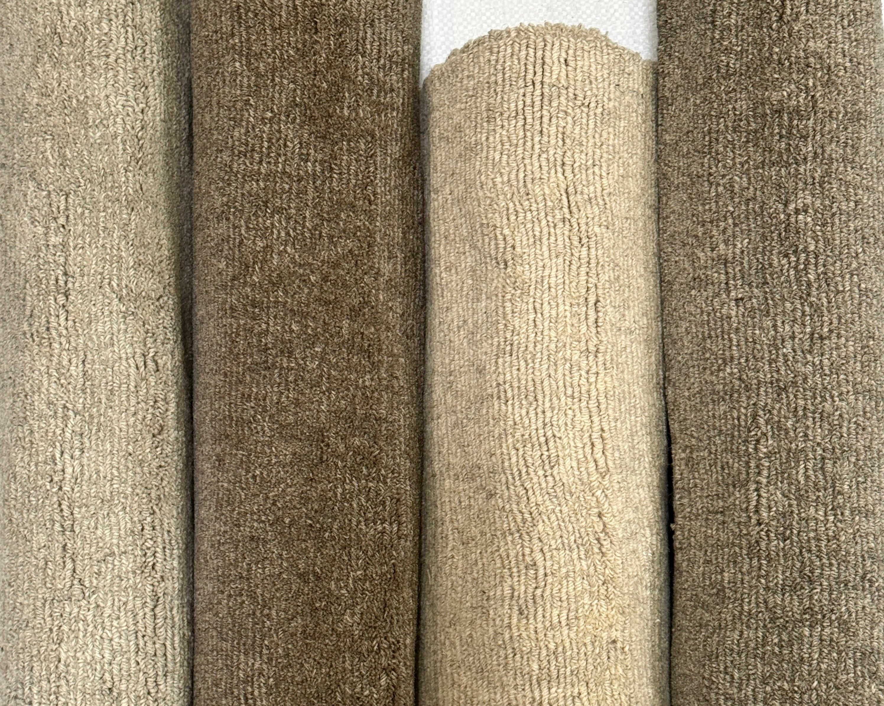 QuickShip Jasi Junior – J. Leigh Carpets